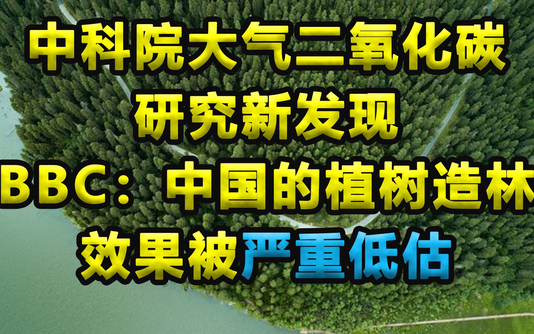 中科院新发现!BBC:中国植树造林效果被严重低估