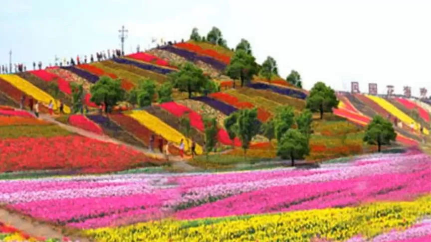 景观花海设计案例效果图