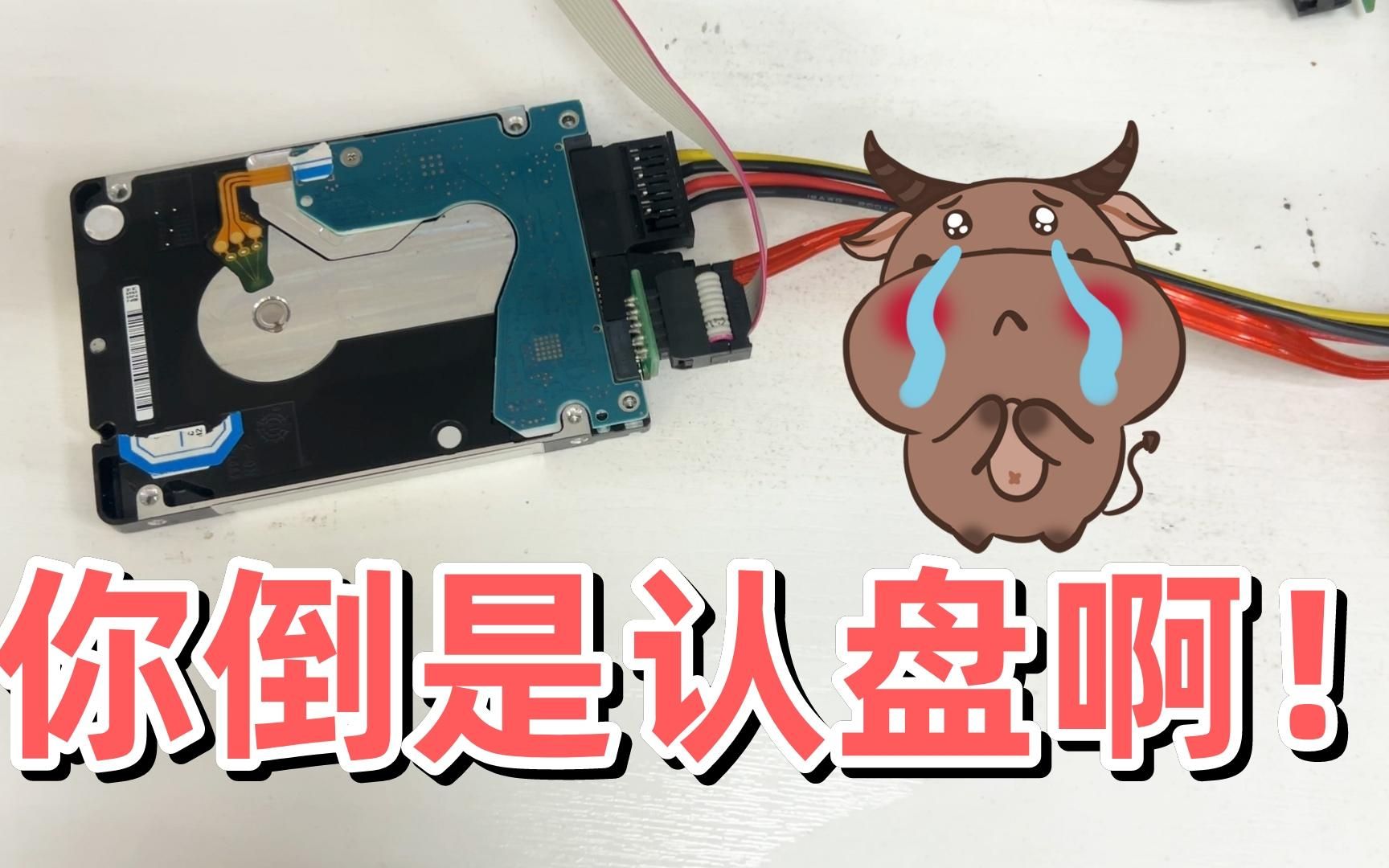 移动硬盘连接电脑没反应,小小固件问题,凯哥教你怎么办!