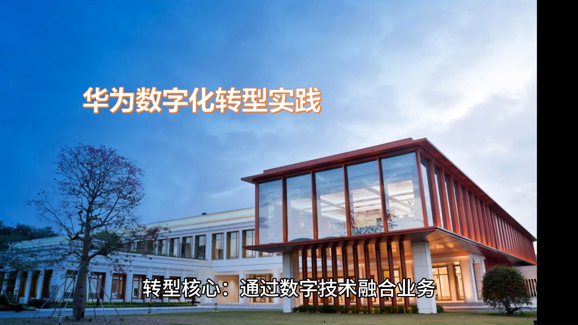 华为数字化转型实践