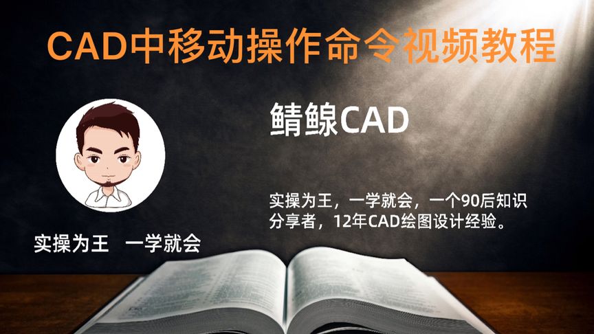 CAD中移动操作命令视频教程
