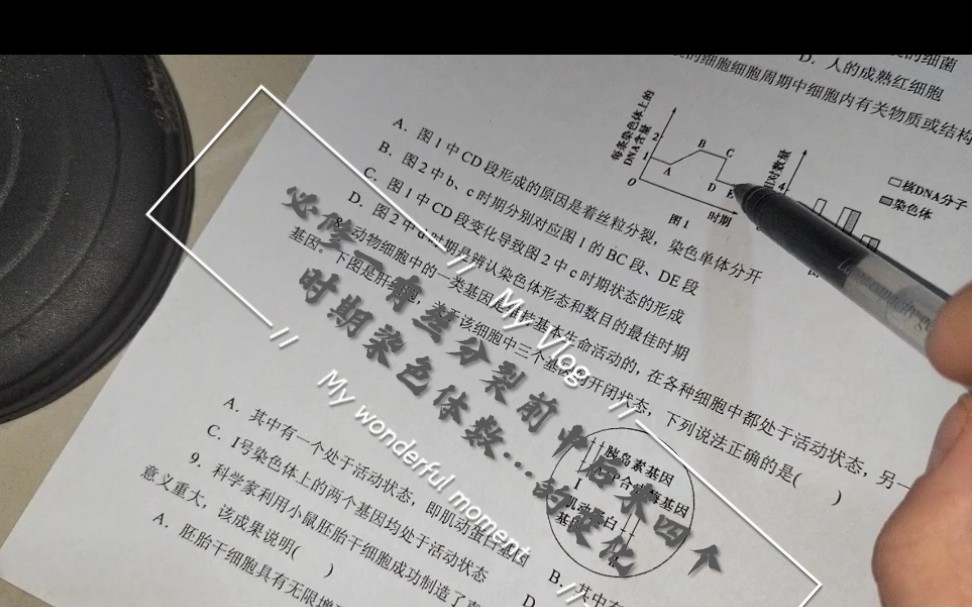 必修一生物有丝分裂前中后末四个时期染色体数,DNA数,染色单体数...