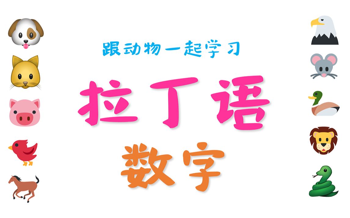 【拉丁语数字歌】 跟动物一起学习拉丁语