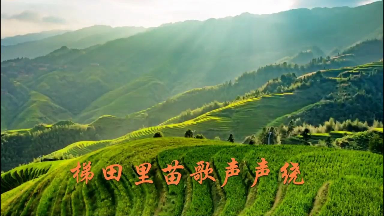 苗岭的早晨-翁立成 经典 唯美 好声音 厦门 MV