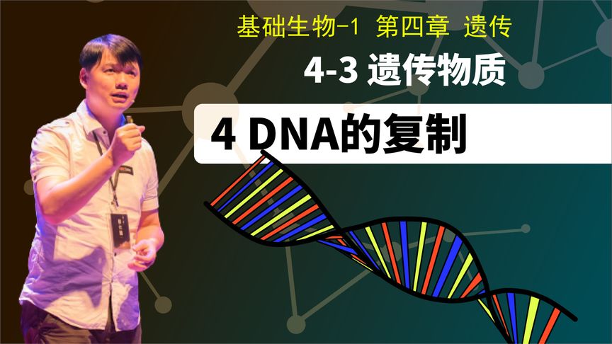 基础生物学4-3.4 DNA的复制