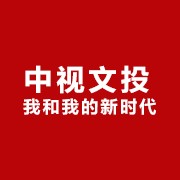 中视文投 