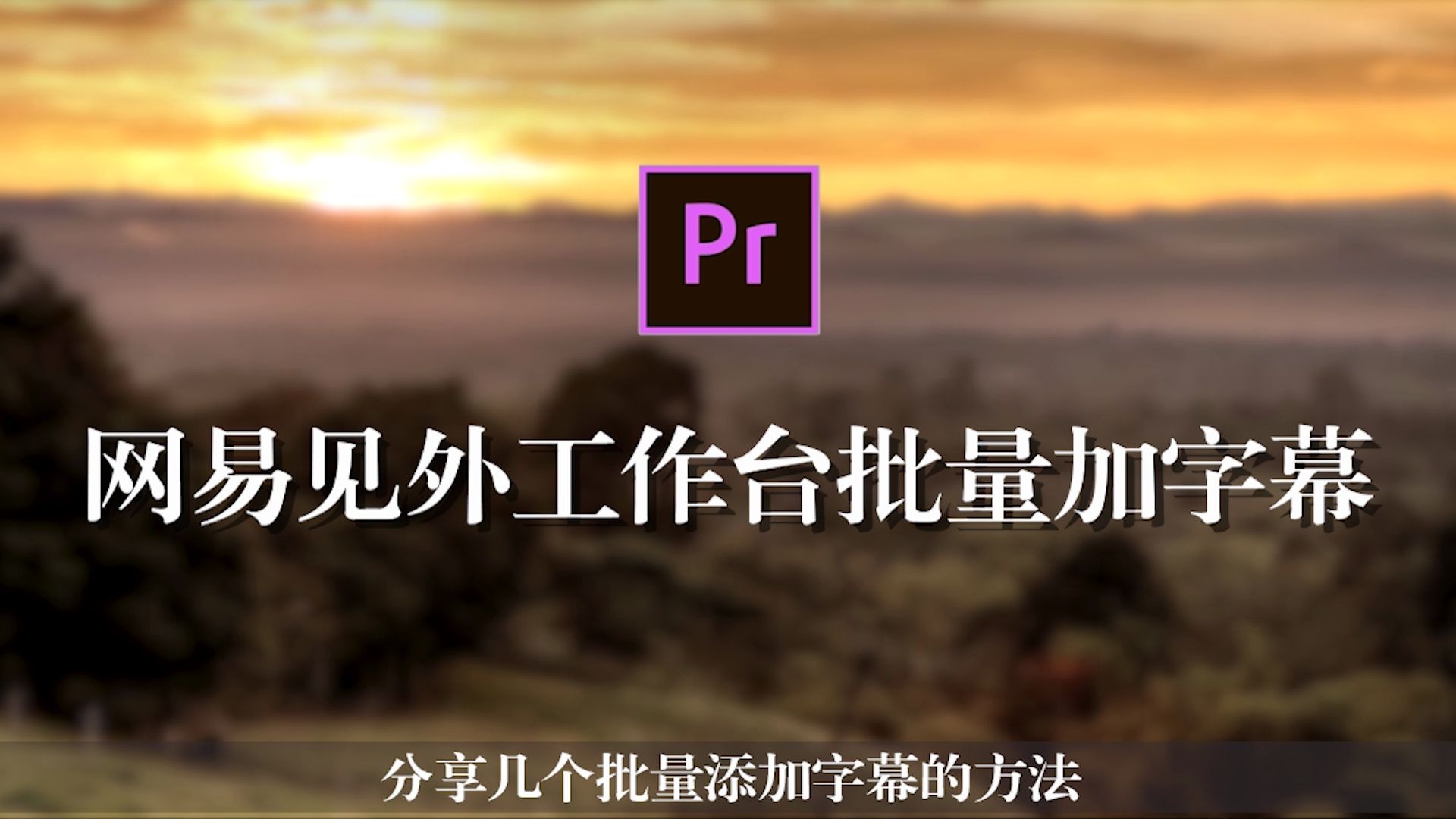 【PR教程】小技巧 PR如何使用网易见外工作台批量添加字幕 实用干货