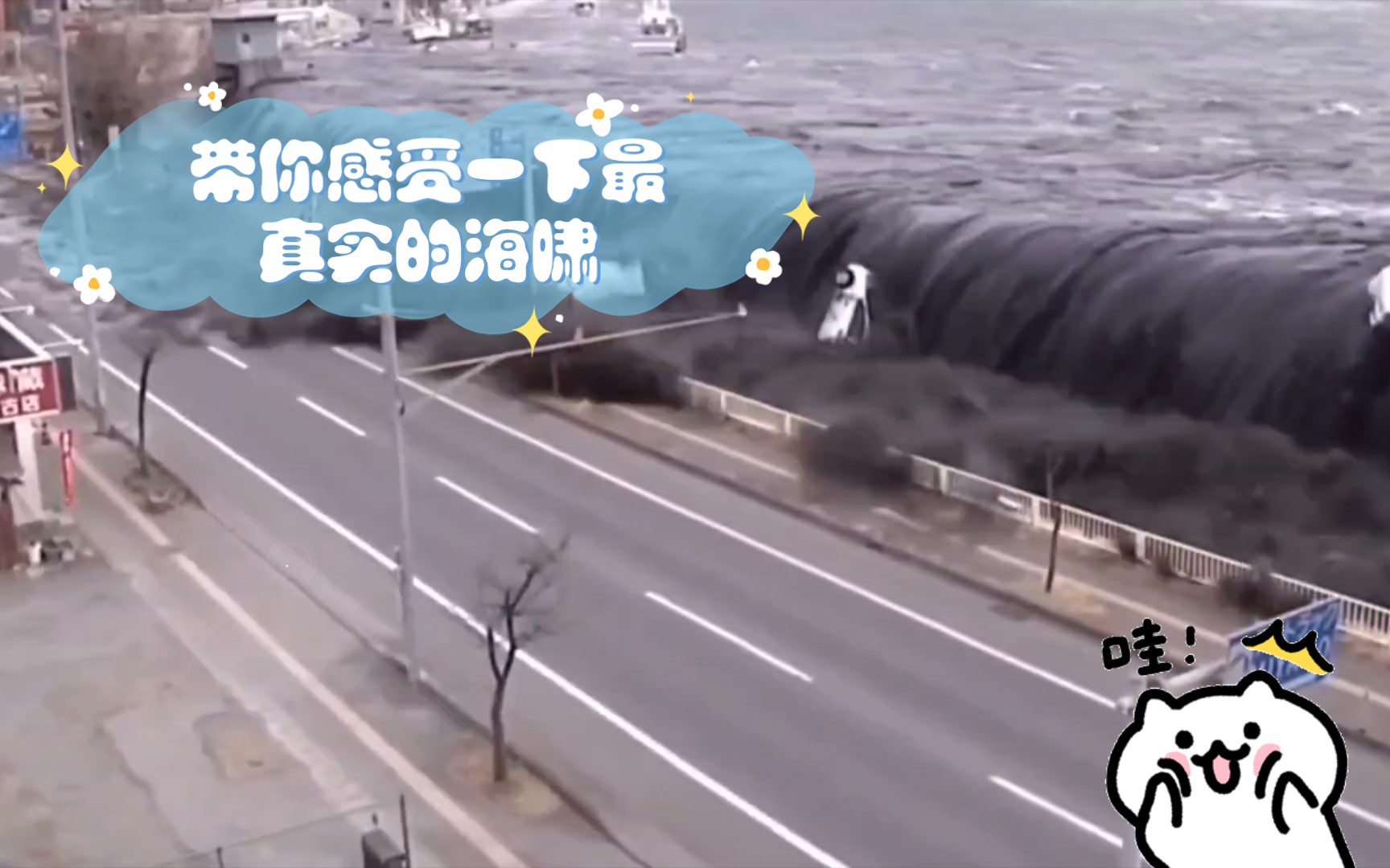 带你感受一下最真实的海啸,太凶悍了。