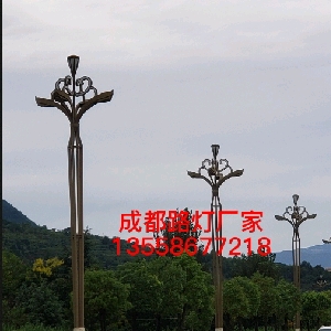 成都路灯生产厂家华路 