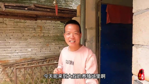 大叔养了一只像猪一样的狗,老板出价88000元收购,却遭到拒绝