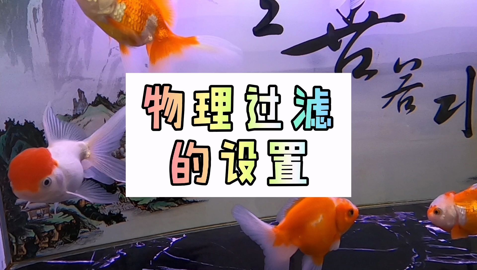 养鱼笔记第1季23集:设置鱼缸的物理过滤时要注意什么