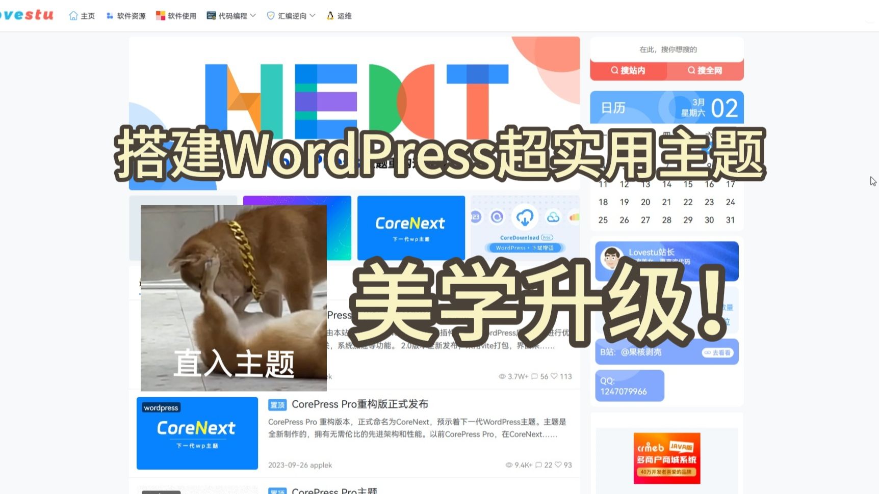 【网站搭建】美学升级!搭建WordPress超实用主题 简约而不简单