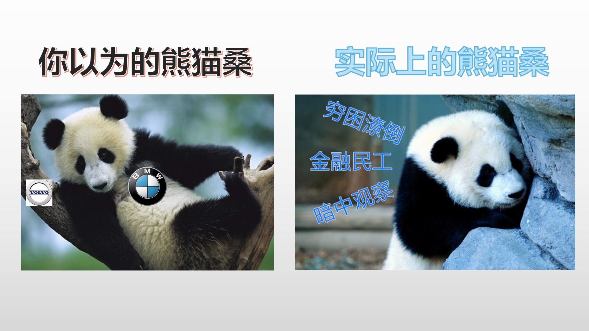 LPR到底是什么?什么时候变更LPR浮动利率更合算?【熊猫说车x熊猫...