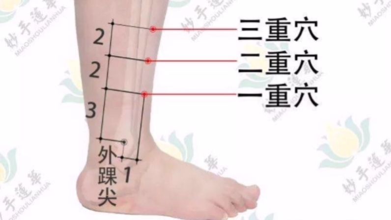 治疗甲状腺肿、乳腺增生、脑瘤的董氏奇穴～三重穴