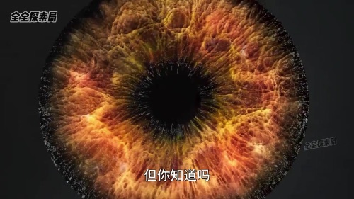 你看到的世界,其实是大脑"翻译"出来的?揭秘眼睛的光之旅!