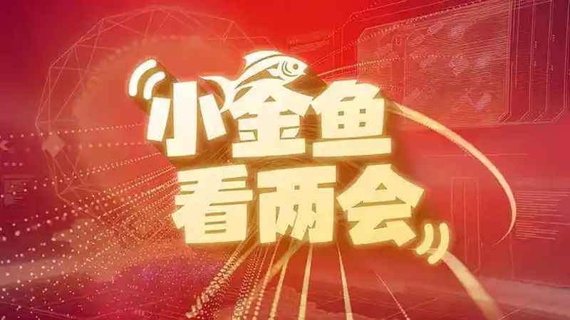 小金鱼看两会丨浙江开启"两会时间",代表委员们关心哪些话题
