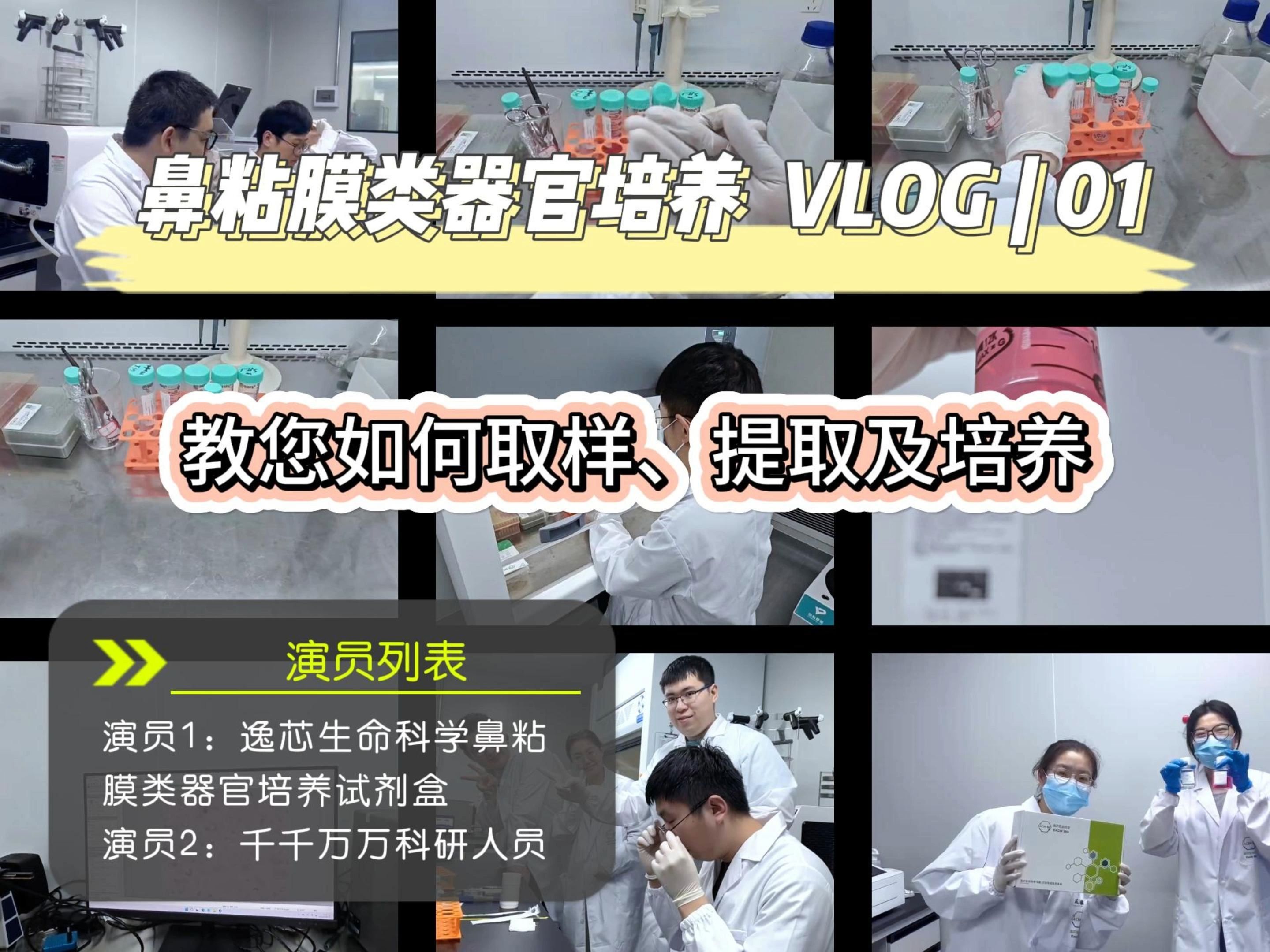 鼻粘膜类器官培养攻略-逸芯生命手把手教您做实验