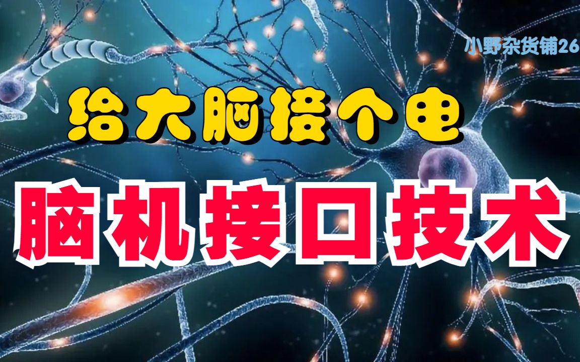 脑机接口技术:为什么脑电波能控制物体移动?