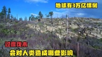 如果没有森林,地球的生命会灭绝吗?