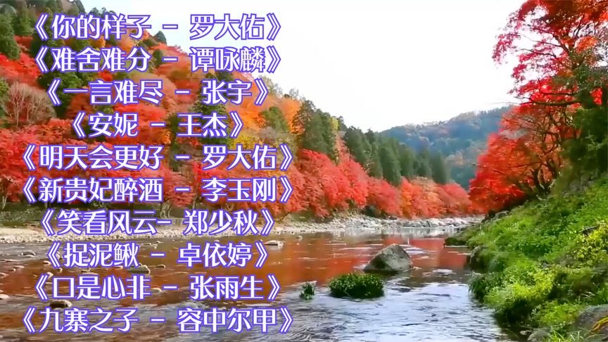 不明白的是为何你情愿,让风尘刻画你的样子