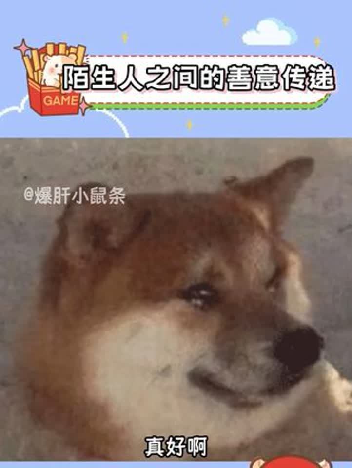 真的会为这样暖心的时刻热泪盈眶 #正能量 #暖心 #外卖 #骑手