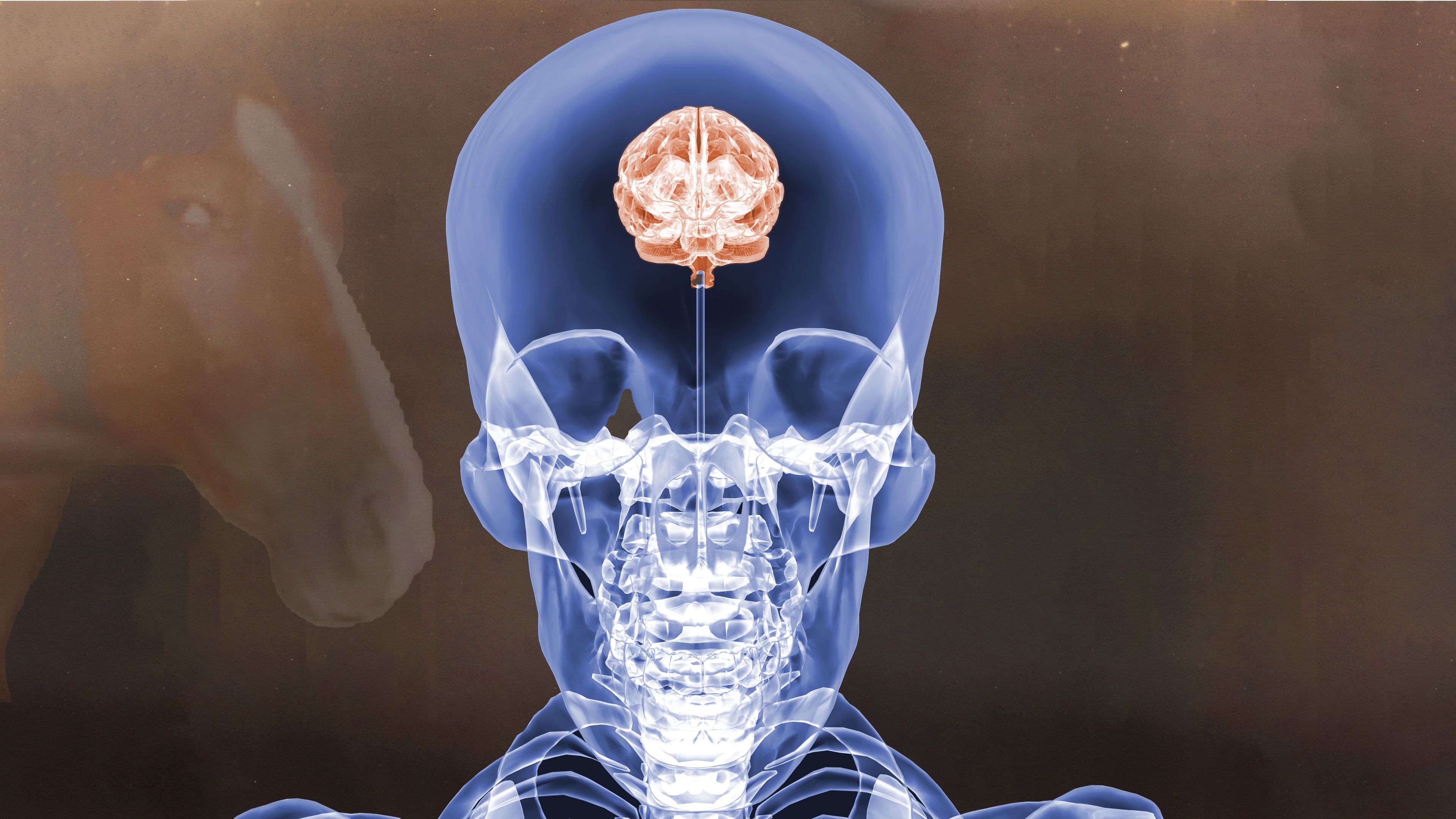 一位男性在晚上喝下了三勺马用电解质,这是他的大脑发生的变化