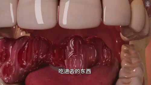 食物的消化过程有多可怕?可能跟你想象的不一样!