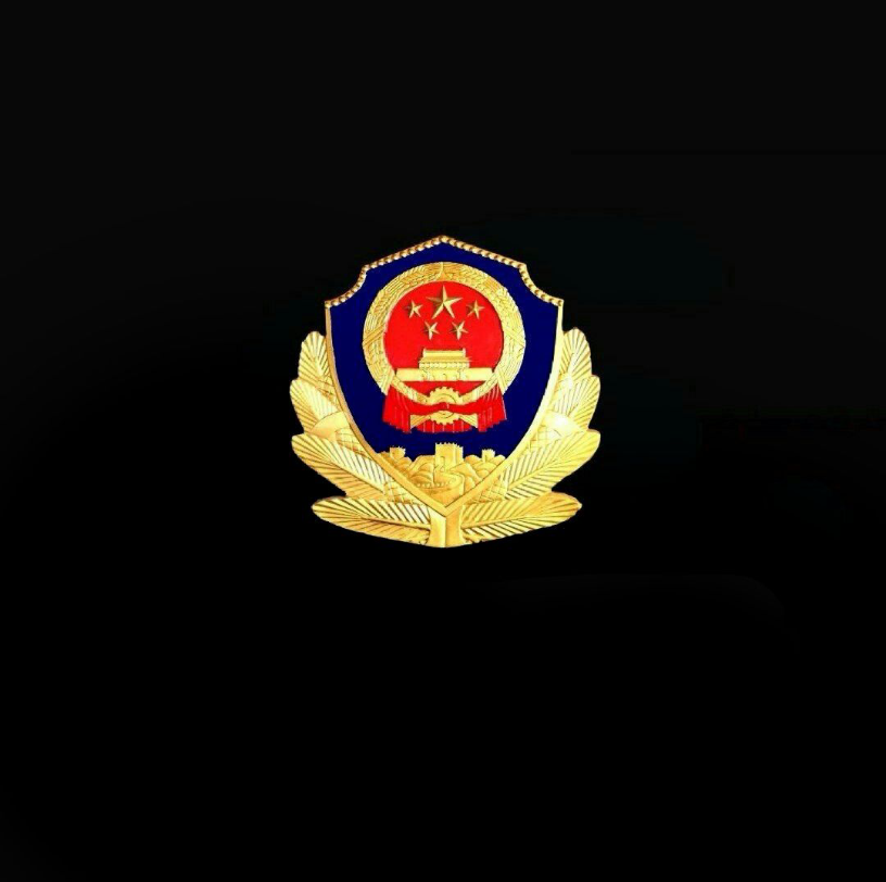 人民公安向前进(中国人民警察警歌)