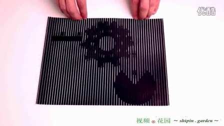 【视频花园】神奇的『光学错觉图片』试验【幻想科学系列】