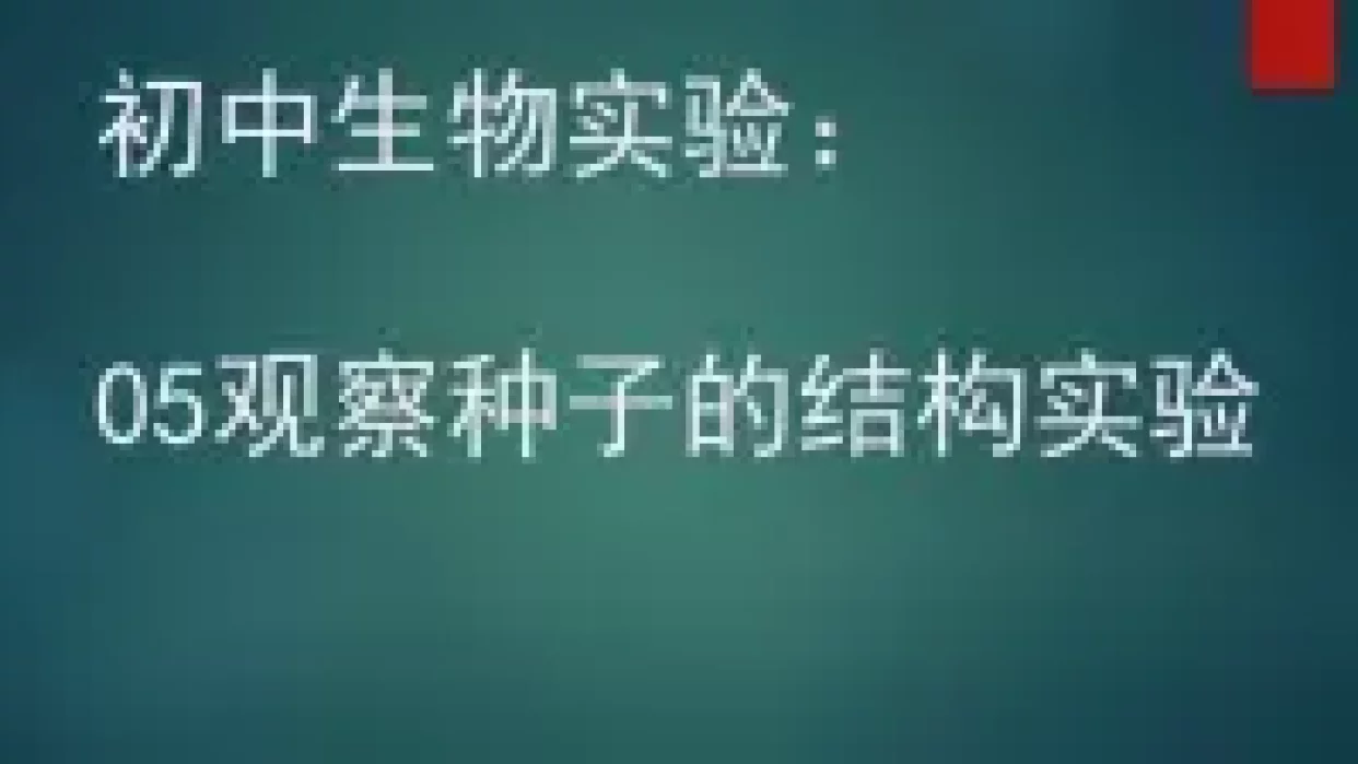 初中生物实验: 05观察种子的结构实验