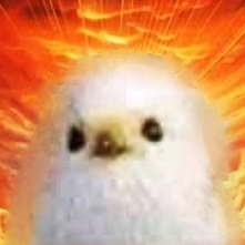 闻人咕 