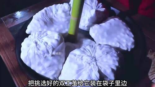 揭秘蚕丝被制作全过程!丝滑轻暖的秘密竟藏在这道工序里!
