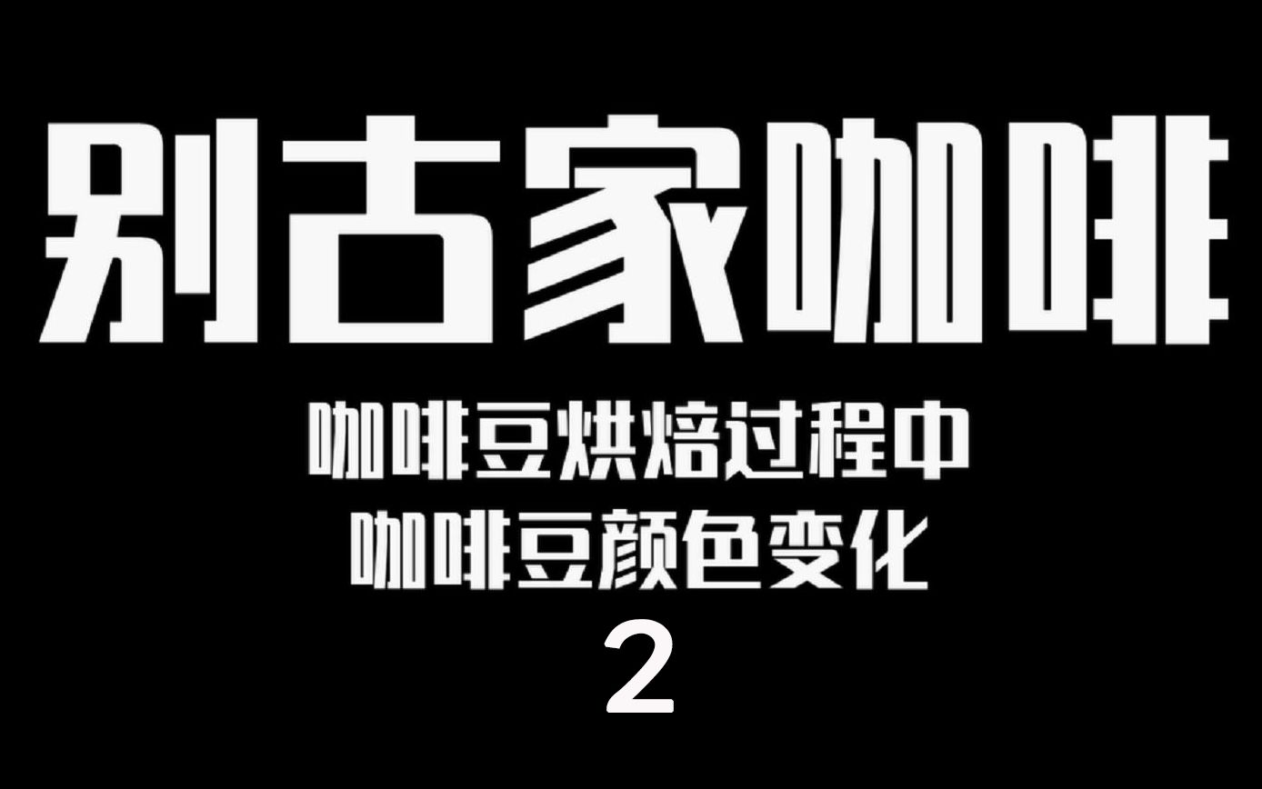 咖啡烘焙视频-咖啡豆烘焙豆表颜色变化-2