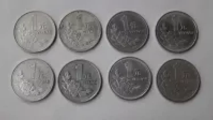 牡丹1元硬币, 一卷值多少钱? 这个年份千万别花