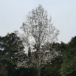 都是缘都是分 