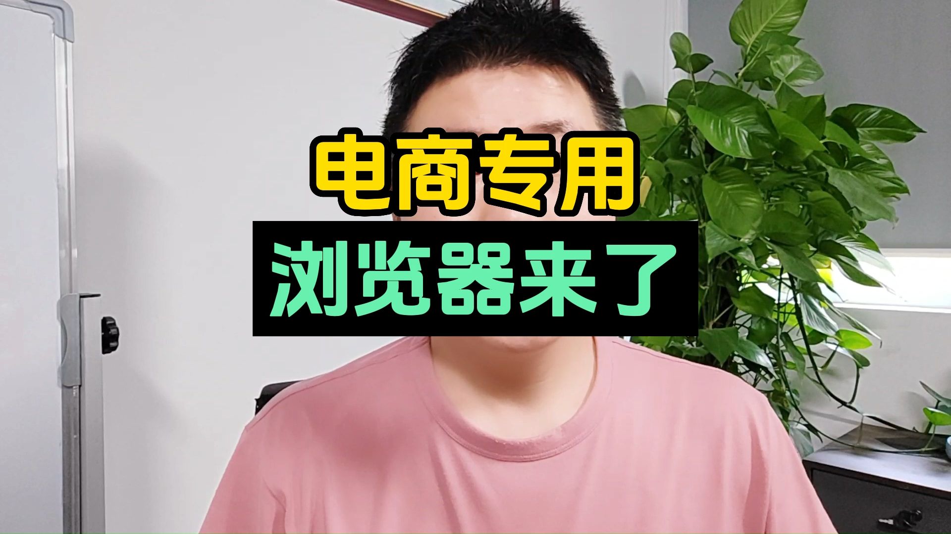 电商人必备浏览器!