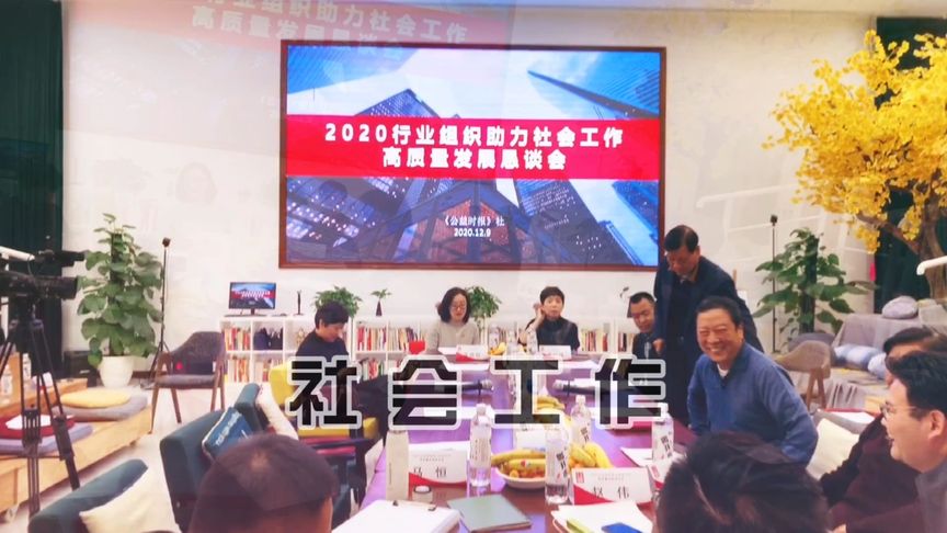 2020行业组织助力社会工作高质量发展恳谈会