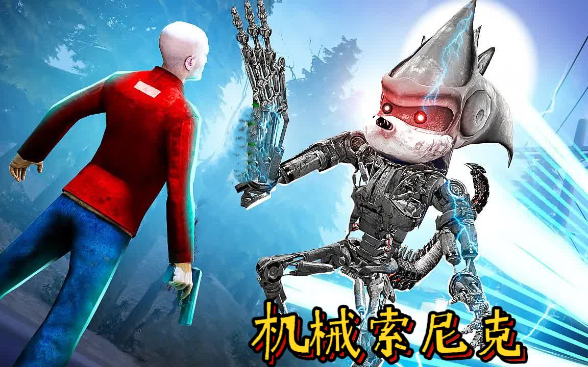 盖瑞模组:铁憨憨执行任务遇到机械索尼克,这家伙也太耐打了吧