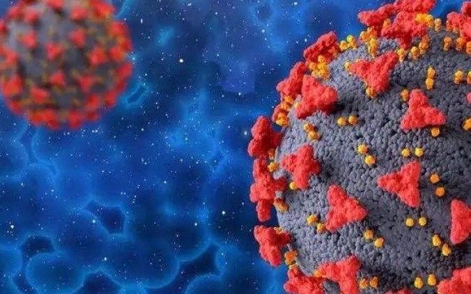 我们是怎么发现新冠病毒进化的-006-02-05-02