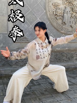 一招一式皆是画,一动一静是太极