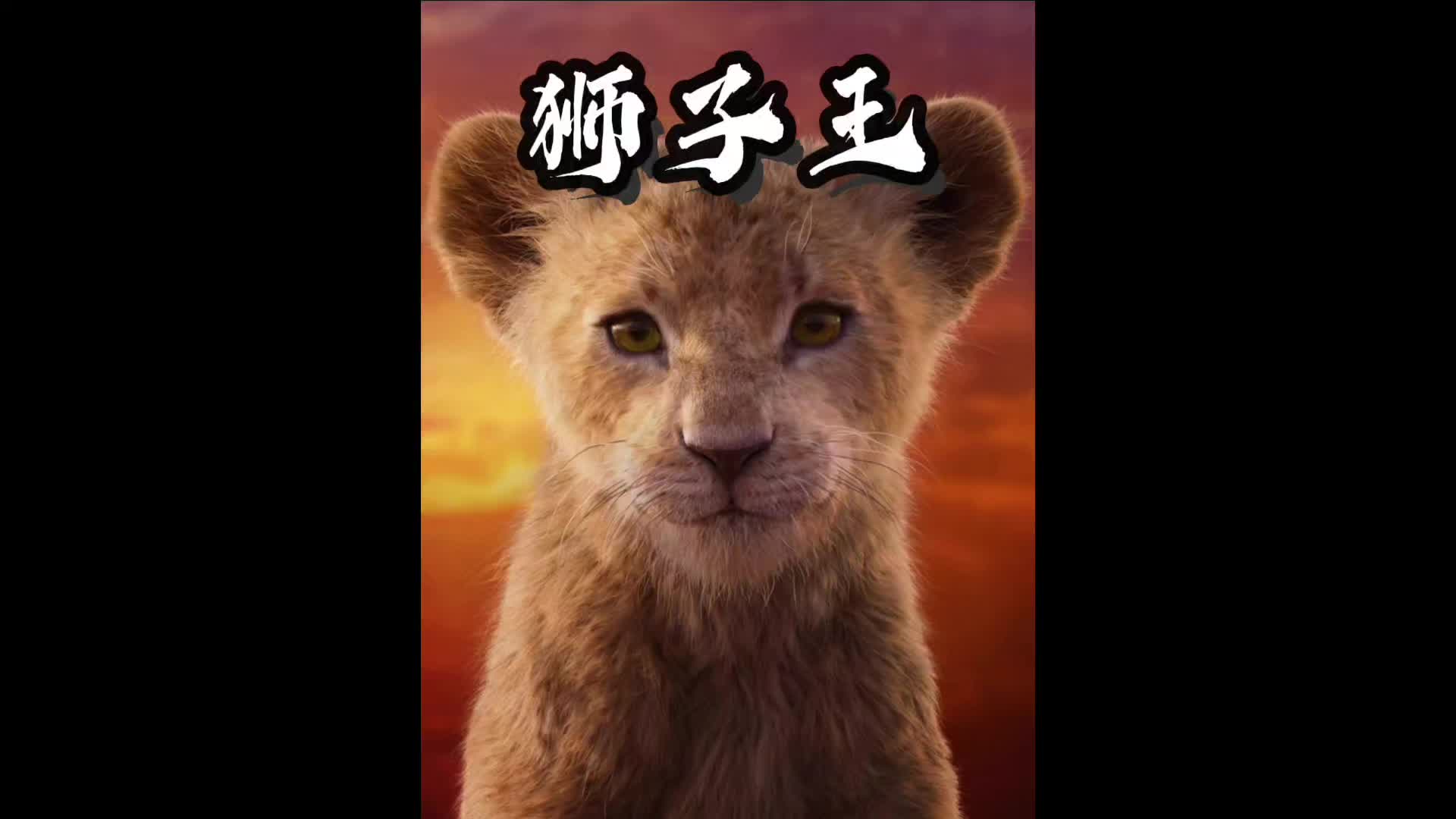狮子王#动画动漫