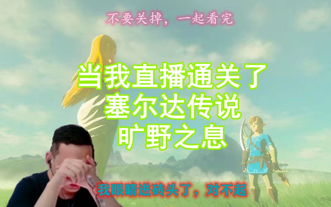 【塞尔达传说旷野之息】当我通关了,故事就结束了吗?我真的是眼睛里...