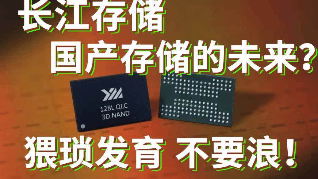 [厂商介绍] 长江存储 国产存储的未来?第七个Nand Flash原厂?