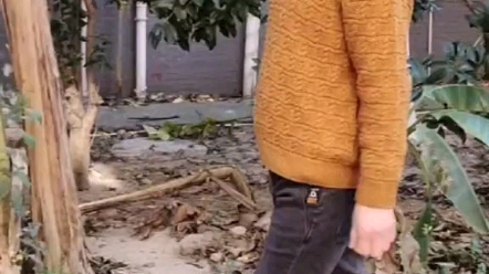 男士青果领套头毛衣,有编织图解教程,想织的家人可以编织