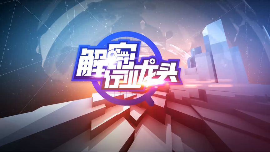 解密行业龙头--全球光伏组件龙头推动N型转型