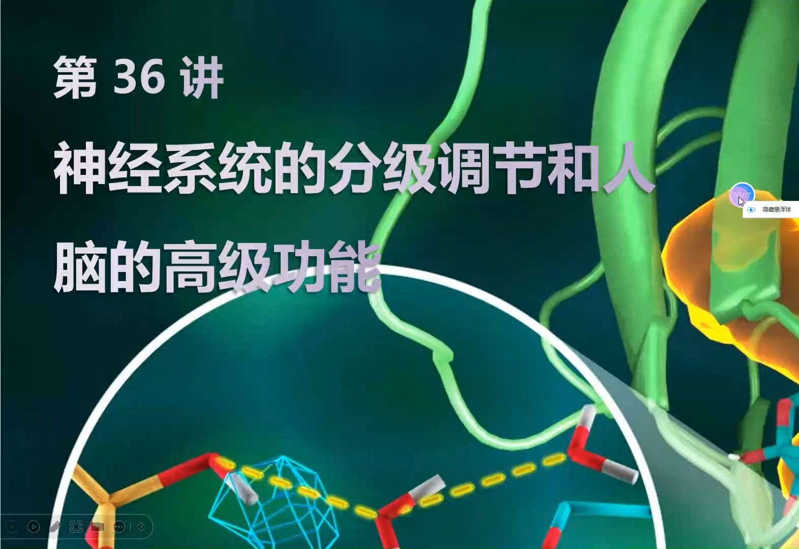 【2025高中生物一轮复习】36讲神经系统的分级调节 人脑的高级功能 ...