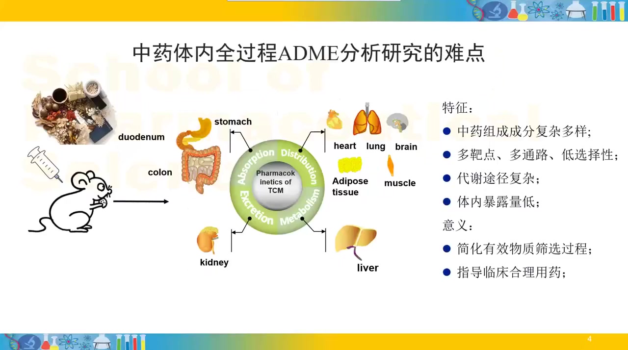 从新药研发和申报视角探究中药ADME研究的策略和方法
