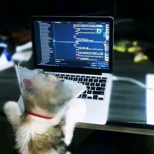 KF李_干啥程序员 