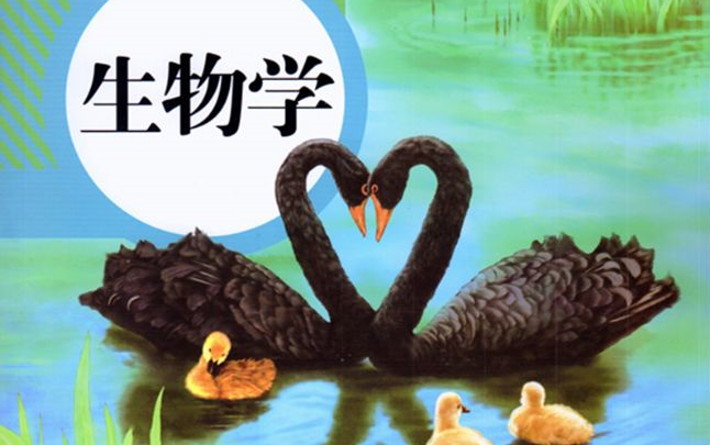 中考生物复习视频