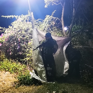 ak暴力美学哈利 